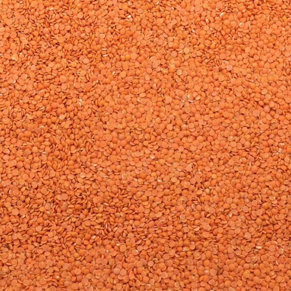 Biologische Cranberries met appeldiksap bestellen bij SmaakGenot | Bionoot