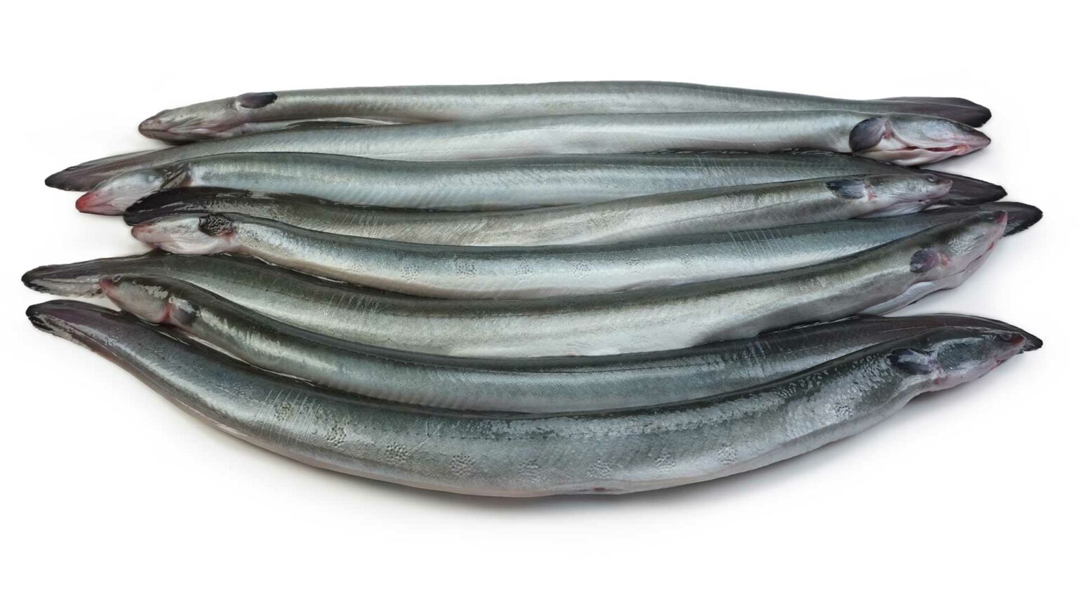 Paling om te roken (gepekeld) bestellen bij SmaakGenot | Dilvis