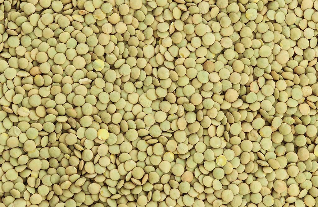 Groene linzen bestellen bij SmaakGenot | Kruythof Aardappelen