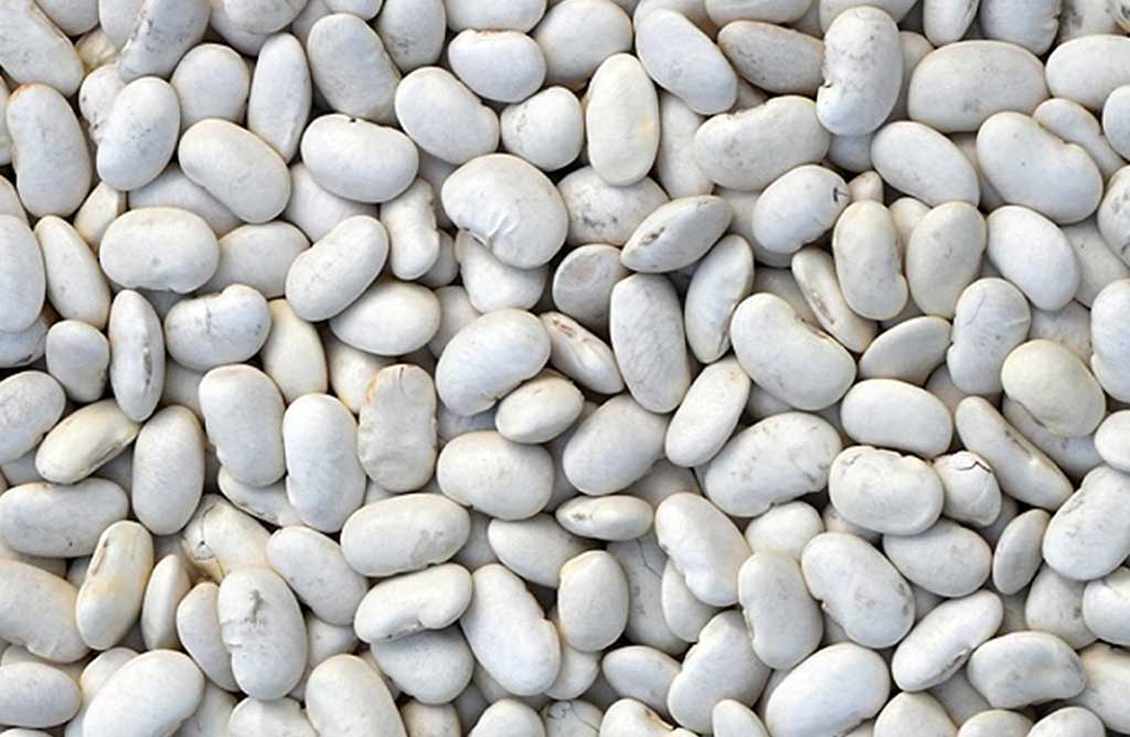Limabonen bestellen bij SmaakGenot | Kruythof Aardappelen