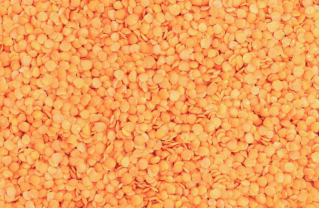 Rode Linzen bestellen bij SmaakGenot | Kruythof Aardappelen